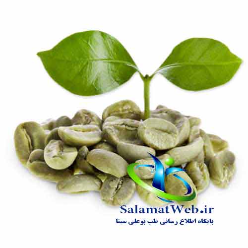 دانستنی های مفید در مورد قهوه سبز - سلامت وب طب بوعلی سینا