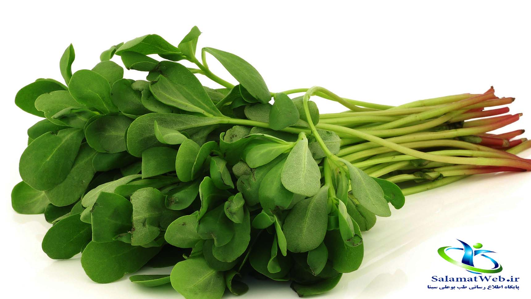 سبزی خرفه چیست؟+فواید و مضرات سبزی خرفه - سلامت وب طب بوعلی سینا